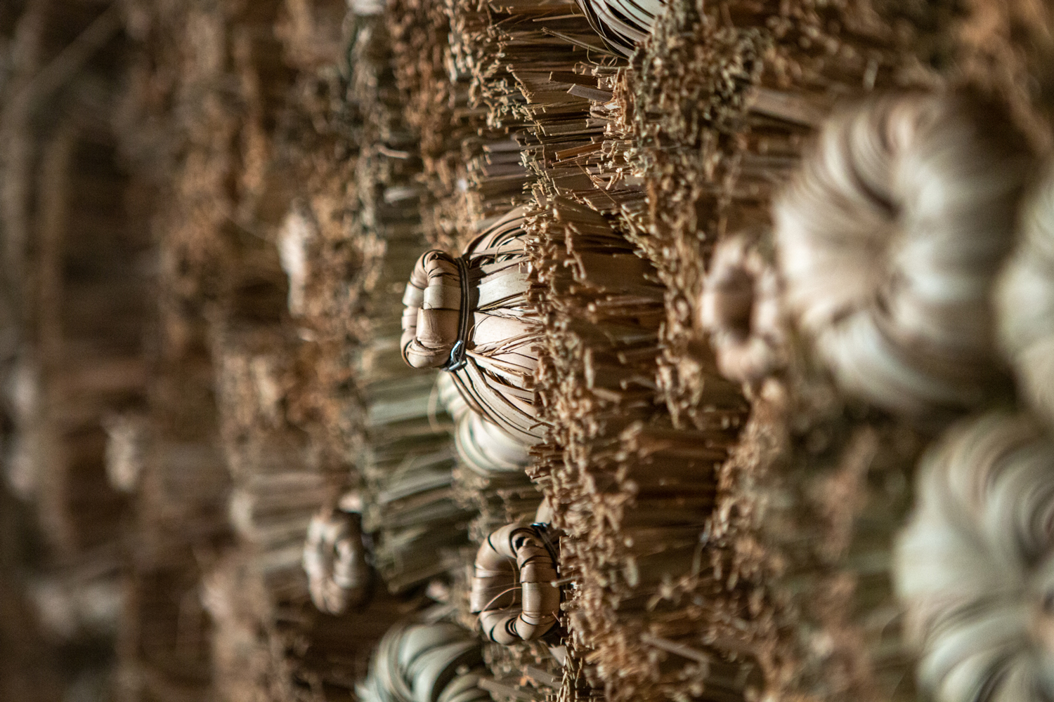 Usha Seejarim, a solo exhibition - Exhibitions - Program - FKA Witte de ...